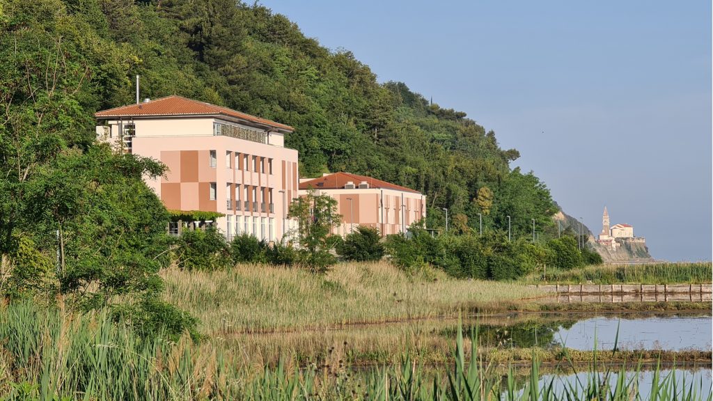 🌿SUMMER BEGINS IN STRUNJAN – JUNE 2026 🌿 – OleandeResort